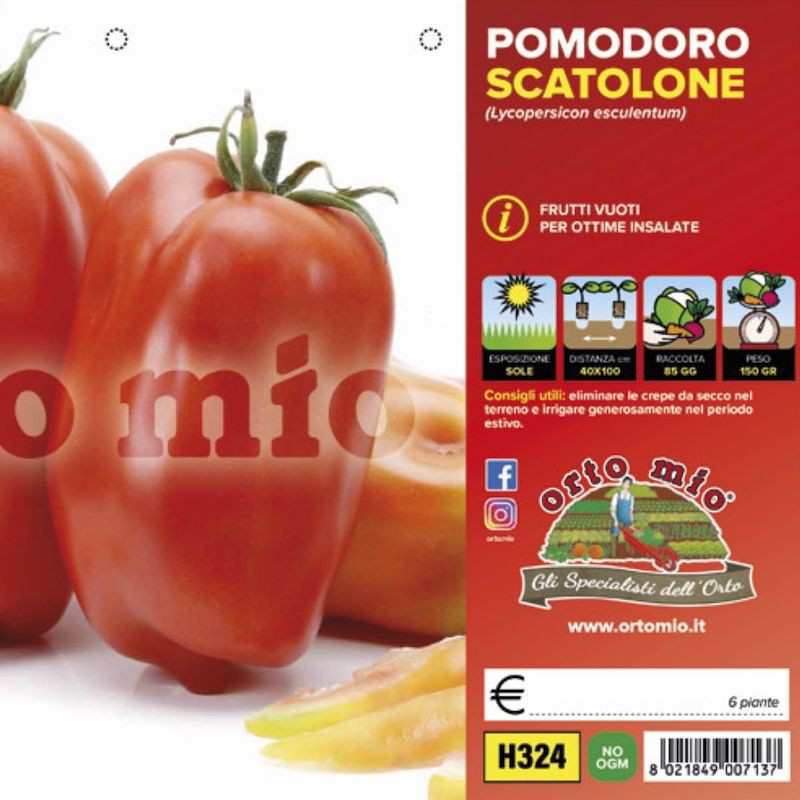 Piante di Pomodoro San Marzano e Ovale San Marzano Vuoto Scatolone F1 ... Piante di Pomodoro San Marzano e Ovale San Marzano Vuoto Scatolone F1 ...